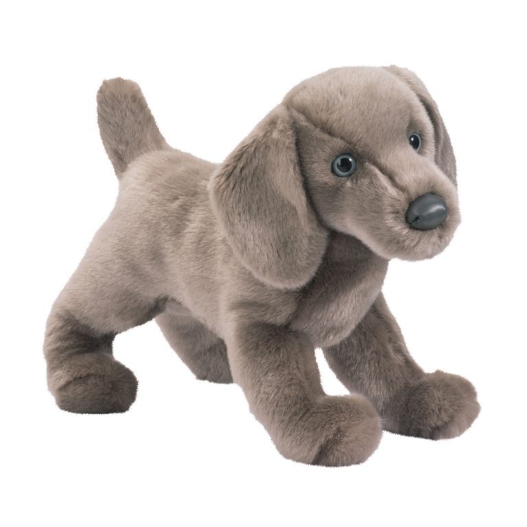 Cassie Weimaraner - Douglas Toys