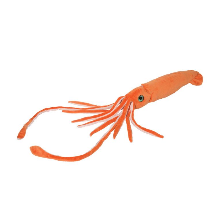 Stretch Squid - Douglas Toys