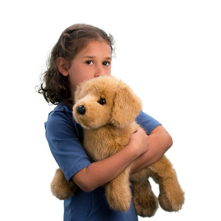 Oakley DLux Golden Retriever - Douglas Toys