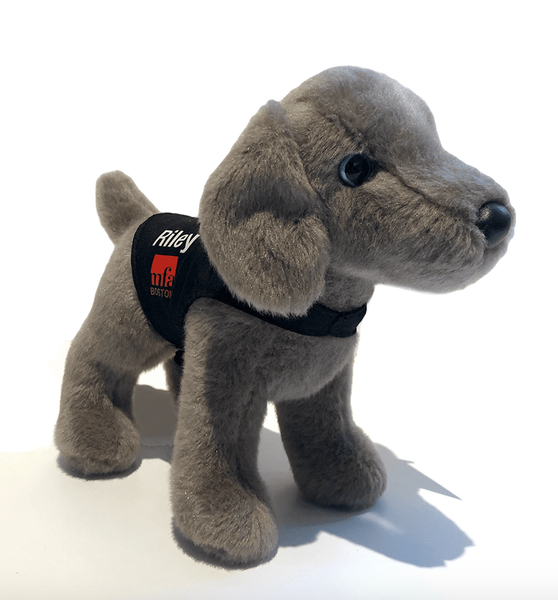 Riley, A Scent Dog on a Mission - Douglas Toys