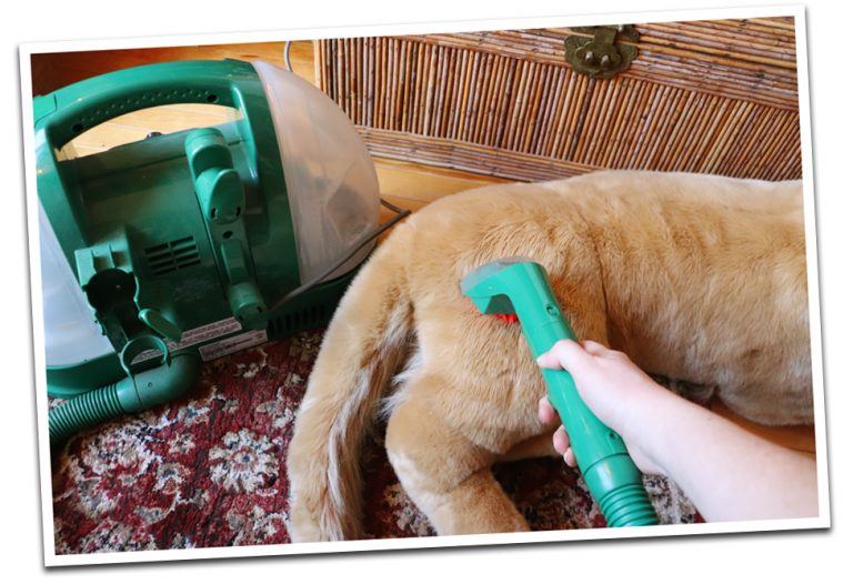 Stuffed Animal Care & Cleaning - Quick Guide - Douglas Toys