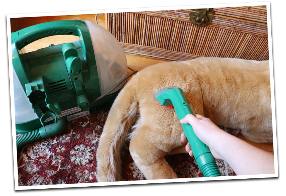Stuffed Animal Care & Cleaning - Quick Guide - Douglas Toys