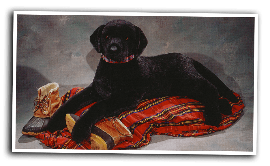 Celebrating Over 30 Years of Lovable Labs! - Douglas Toys